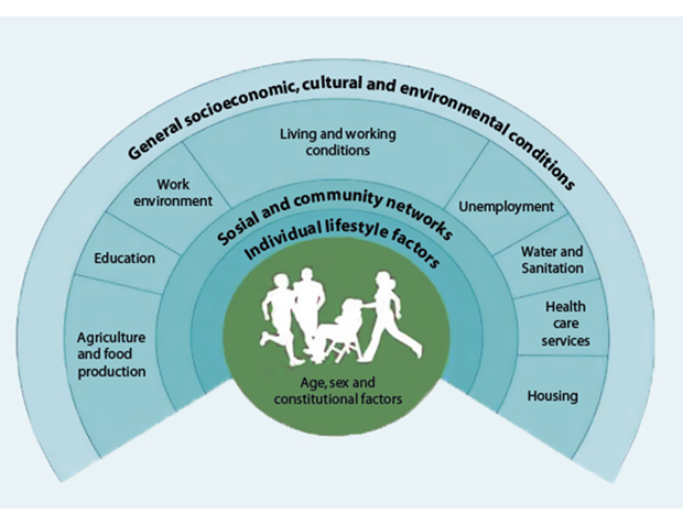 Dahlgren And Whitehead39s Model Of Determinants Of Health